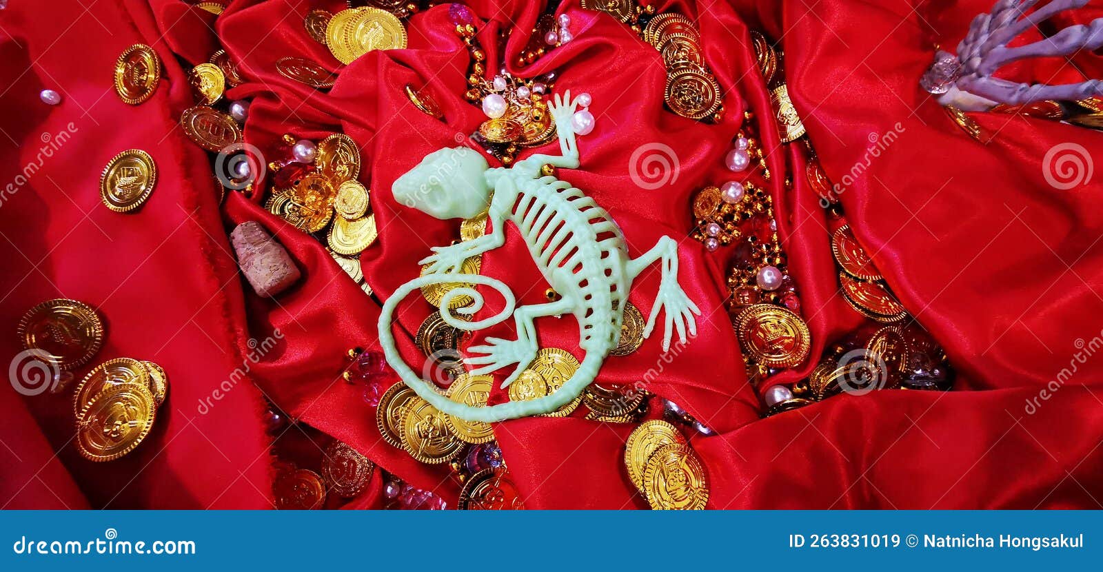 Lizard Carcass in a Coin Box Stock Image - Image of people, clothing ...