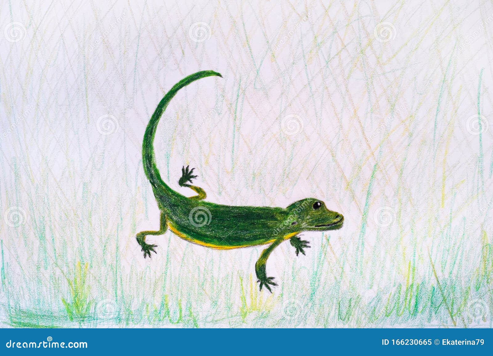 Lizard. Child Pencil Hand Drawing Stock Illustration - Illustration of ...