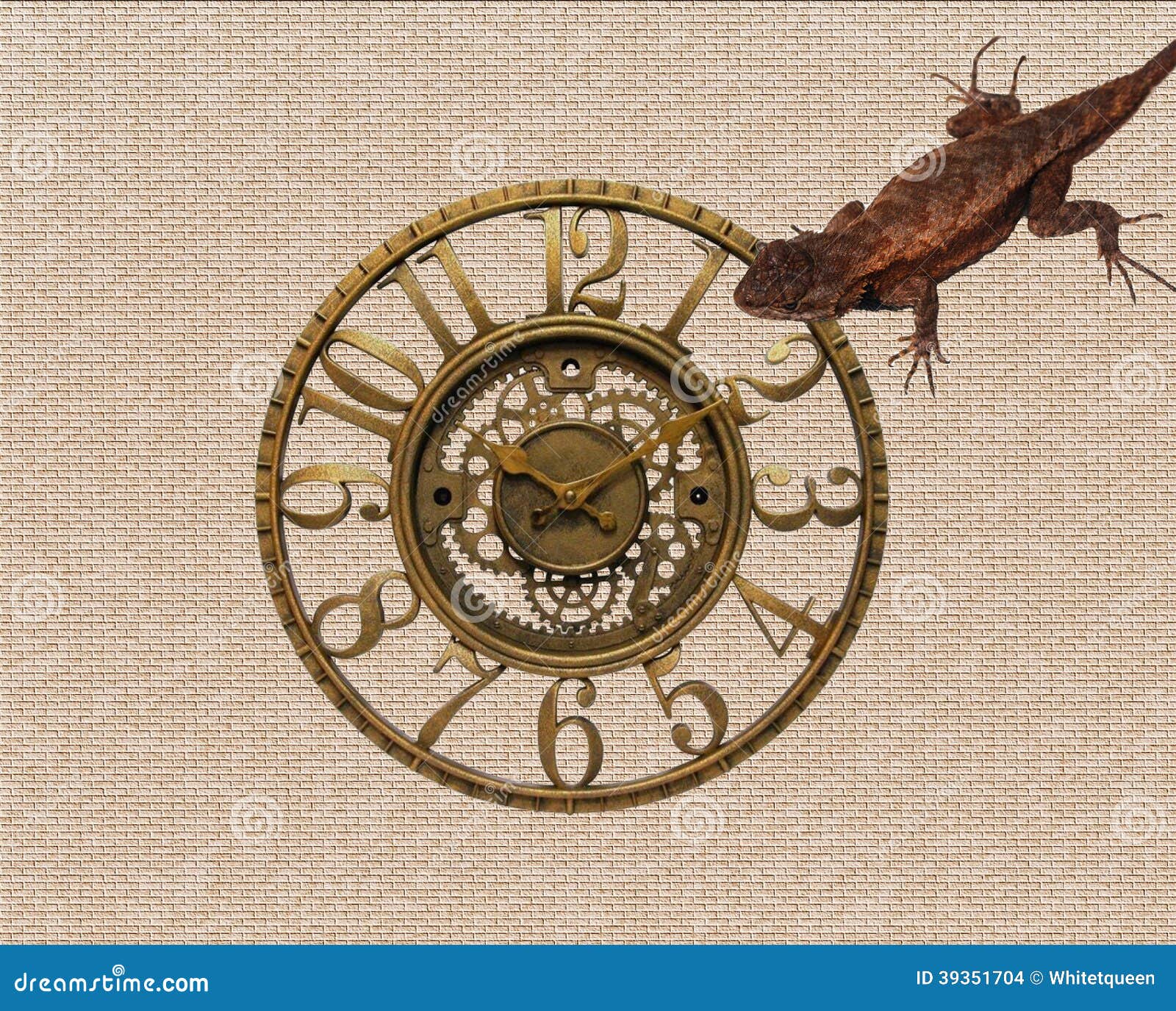 Lizard and clock stock photo. Image of background, pattern - 39351704
