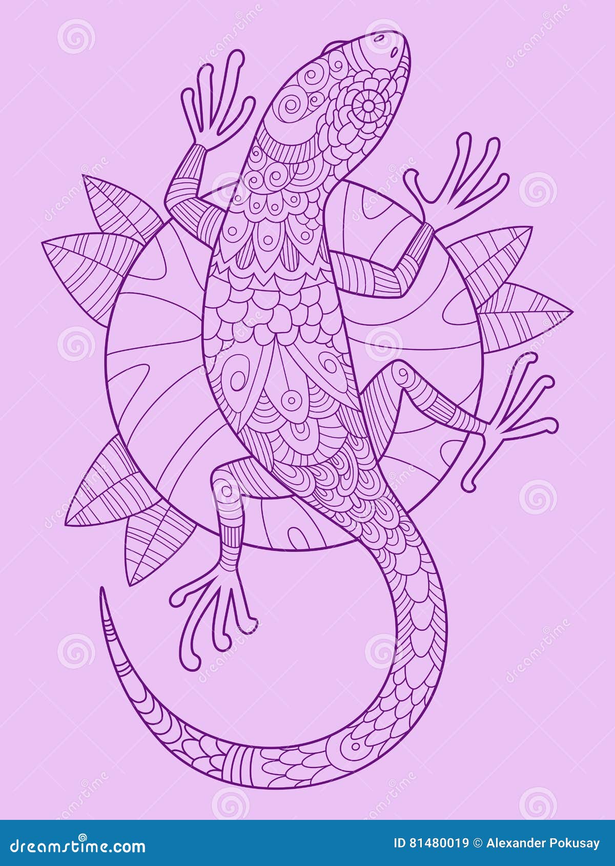 Lizard Color Drawing Vector | CartoonDealer.com #81480019