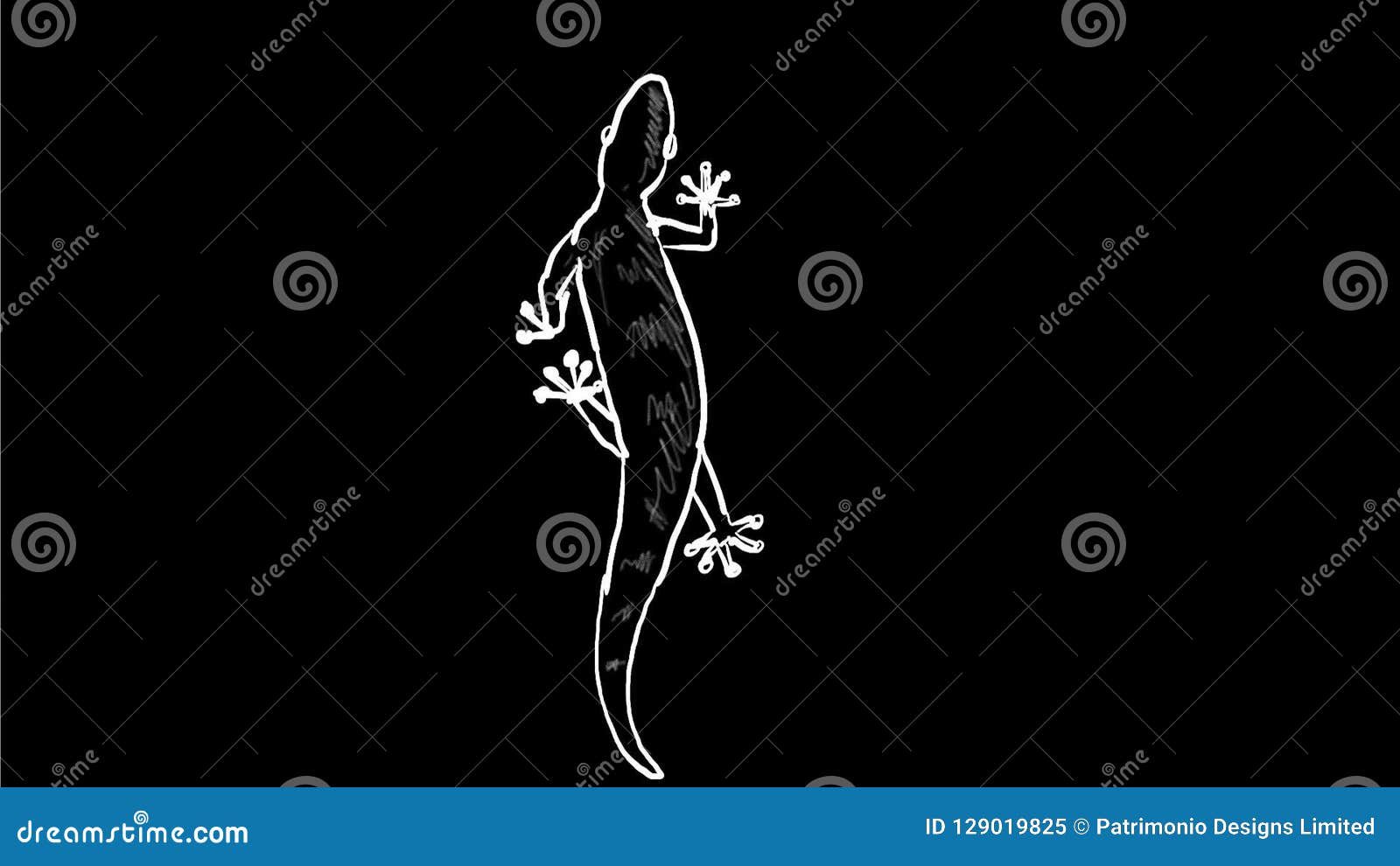 Lizard Crawling Drawing 2D Animation Stock Video - Video of ball ...