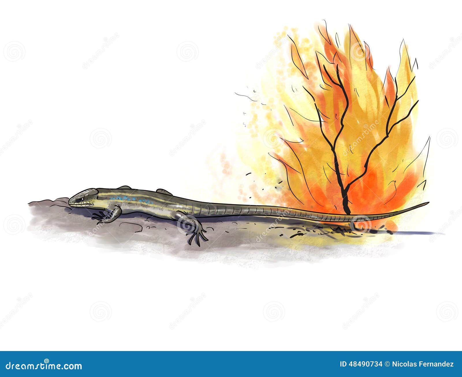 Lizard fire danger stock illustration. Illustration of natural - 48490734