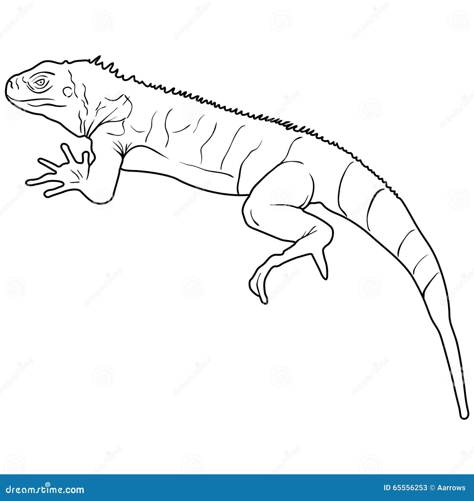 Lizard Is Goanna Silhouette On A White Background. Vector Illustration ...