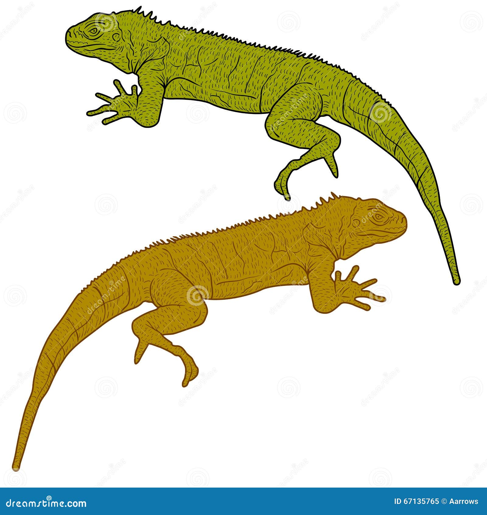 Goanna Silhouette Stock Illustrations – 11 Goanna Silhouette Stock ...
