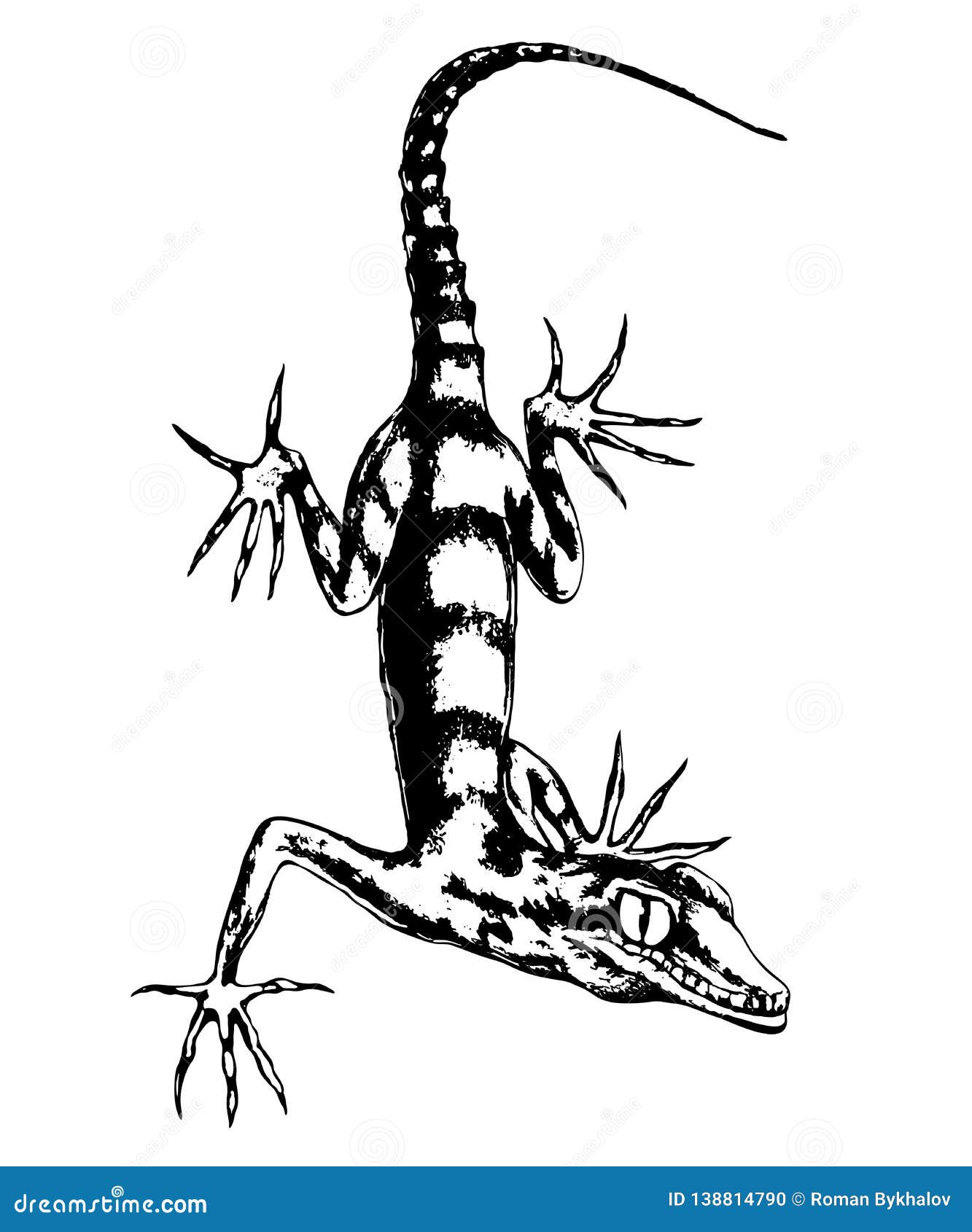Lizard hand-drawn vector stock vector. Illustration of asian - 138814790