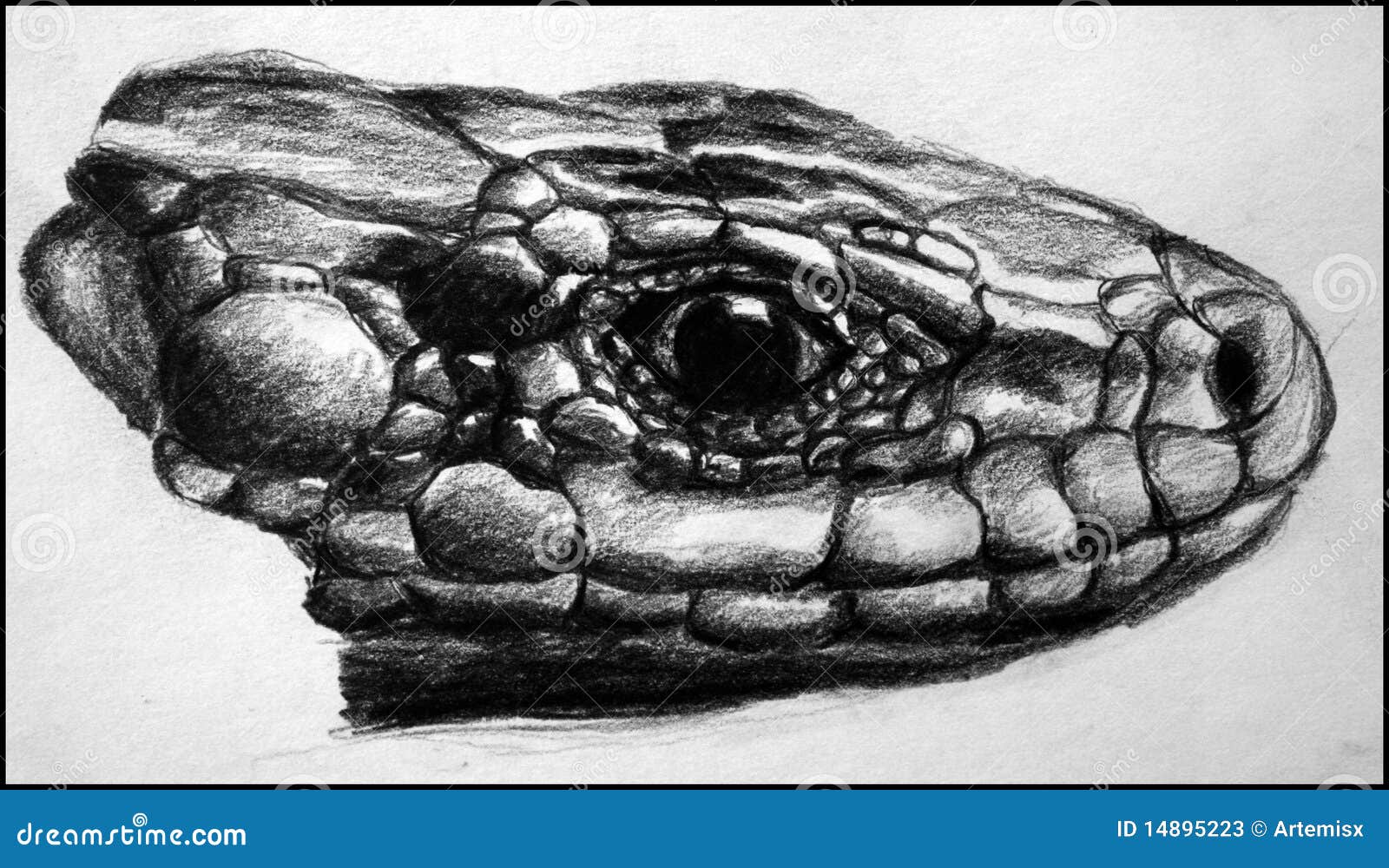 Lizard Head stock illustration. Illustration of nostril - 14895223