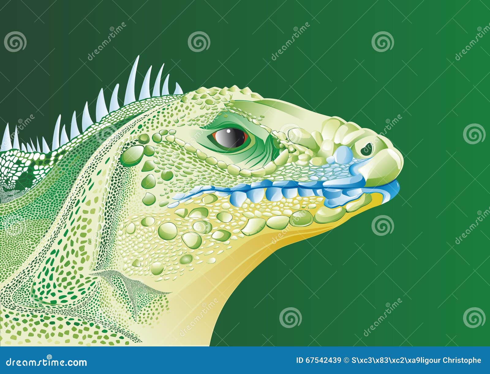 Lizard Head Stock Illustrations – 6,538 Lizard Head Stock Illustrations ...