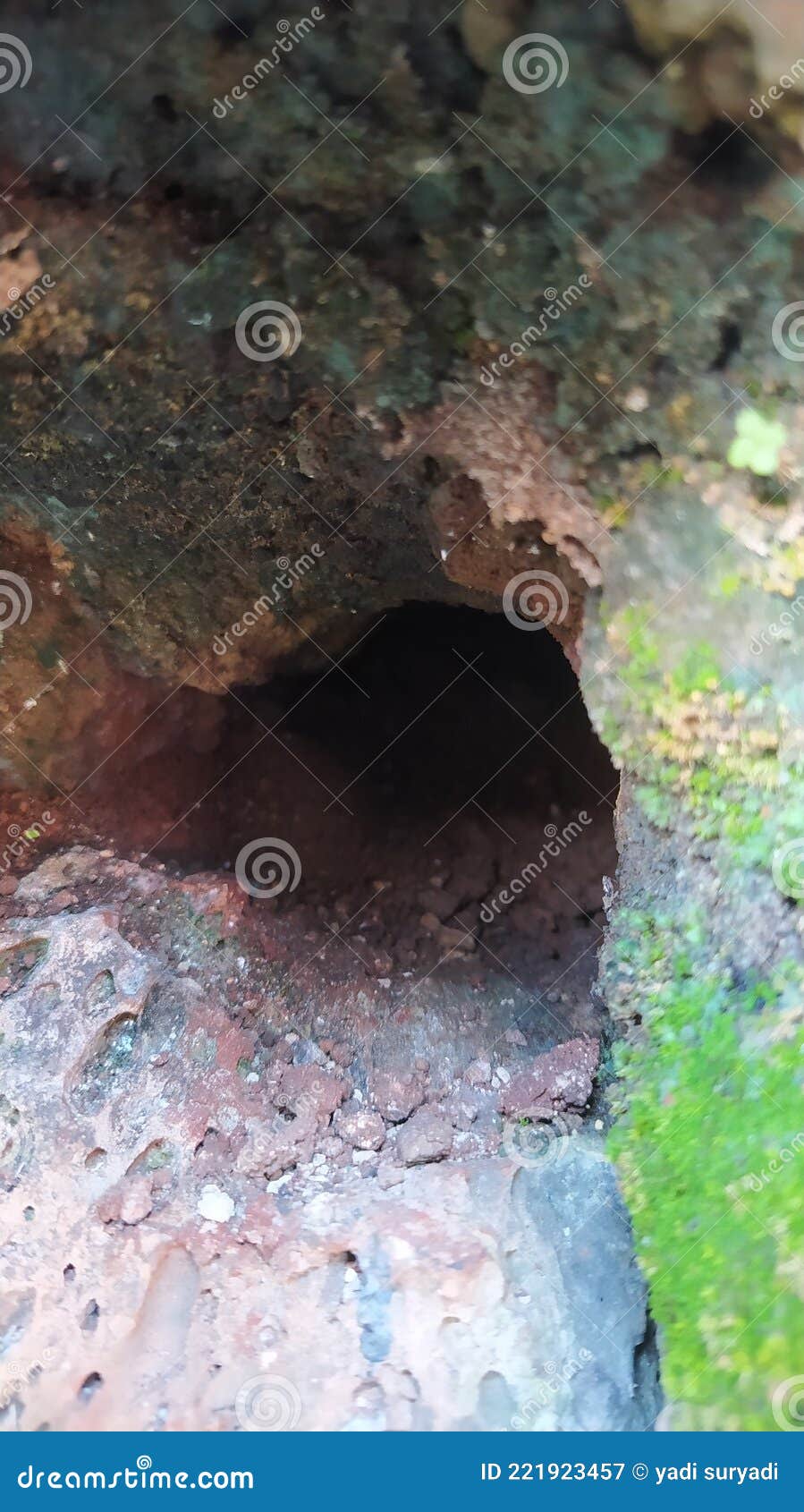 The Lizard Hole in the Wall Stock Image - Image of formation, nature ...