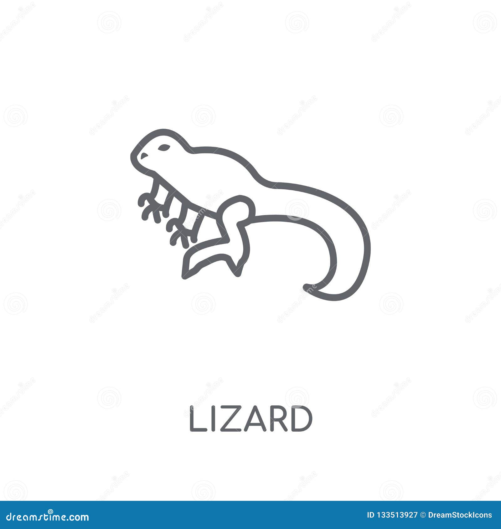 Lizard Linear Icon. Modern Outline Lizard Logo Concept on White Stock ...