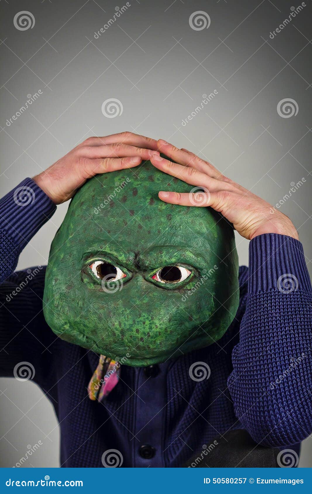 Lizard Mask Sweater stock image. Image of mask, overwhelmed - 50580257
