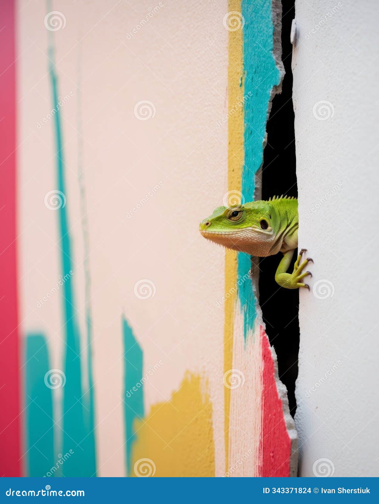 Lizard Peeking through a Colorful Artistic Wall. Stock Photo - Image of ...