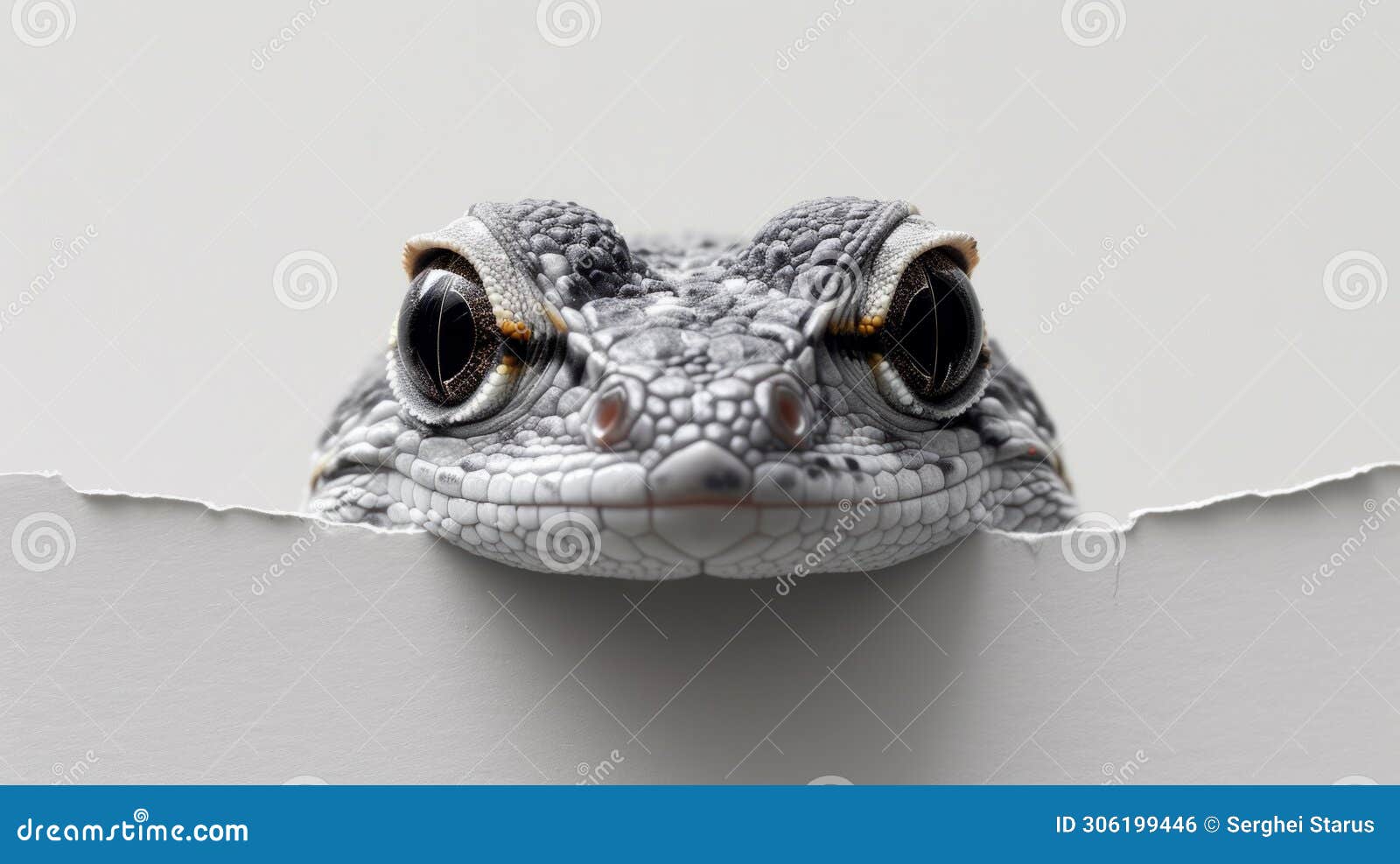 A Lizard Peeking Out from Behind a White Paper Wall, AI Stock ...