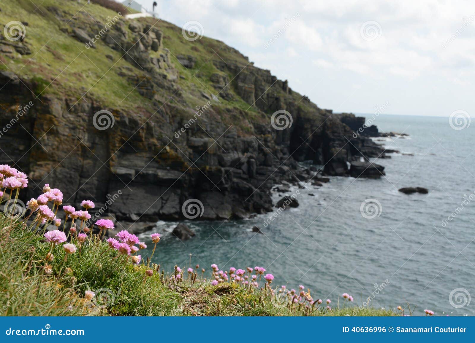 Lizard Point Cornwall UK stock photo. Image of background - 40636996