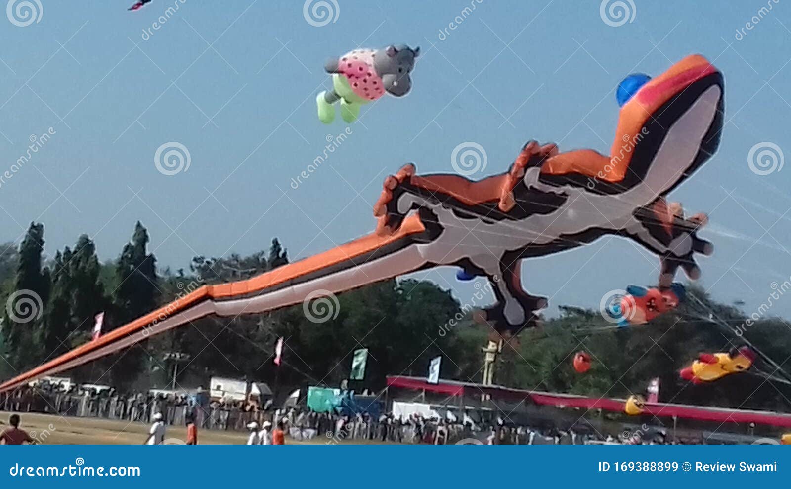 Lizard shaped kite stock image. Image of international - 169388899