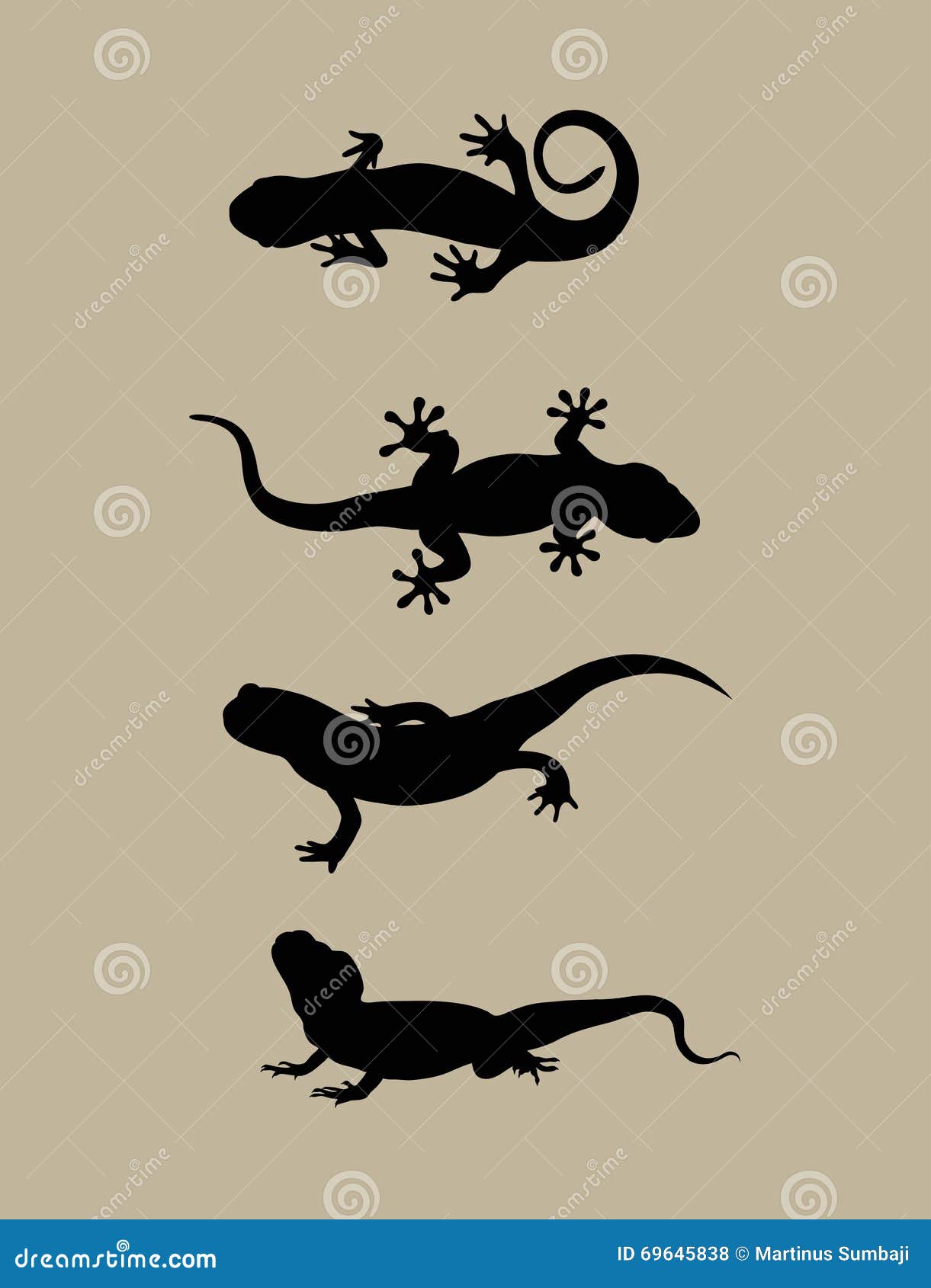 Lizard Silhouette stock vector. Illustration of crawling - 69645838