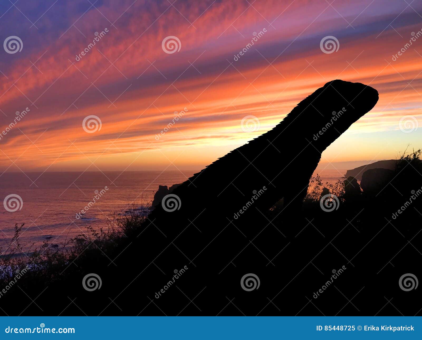 Lizard Silhouette Sunset stock image. Image of oregon - 85448725