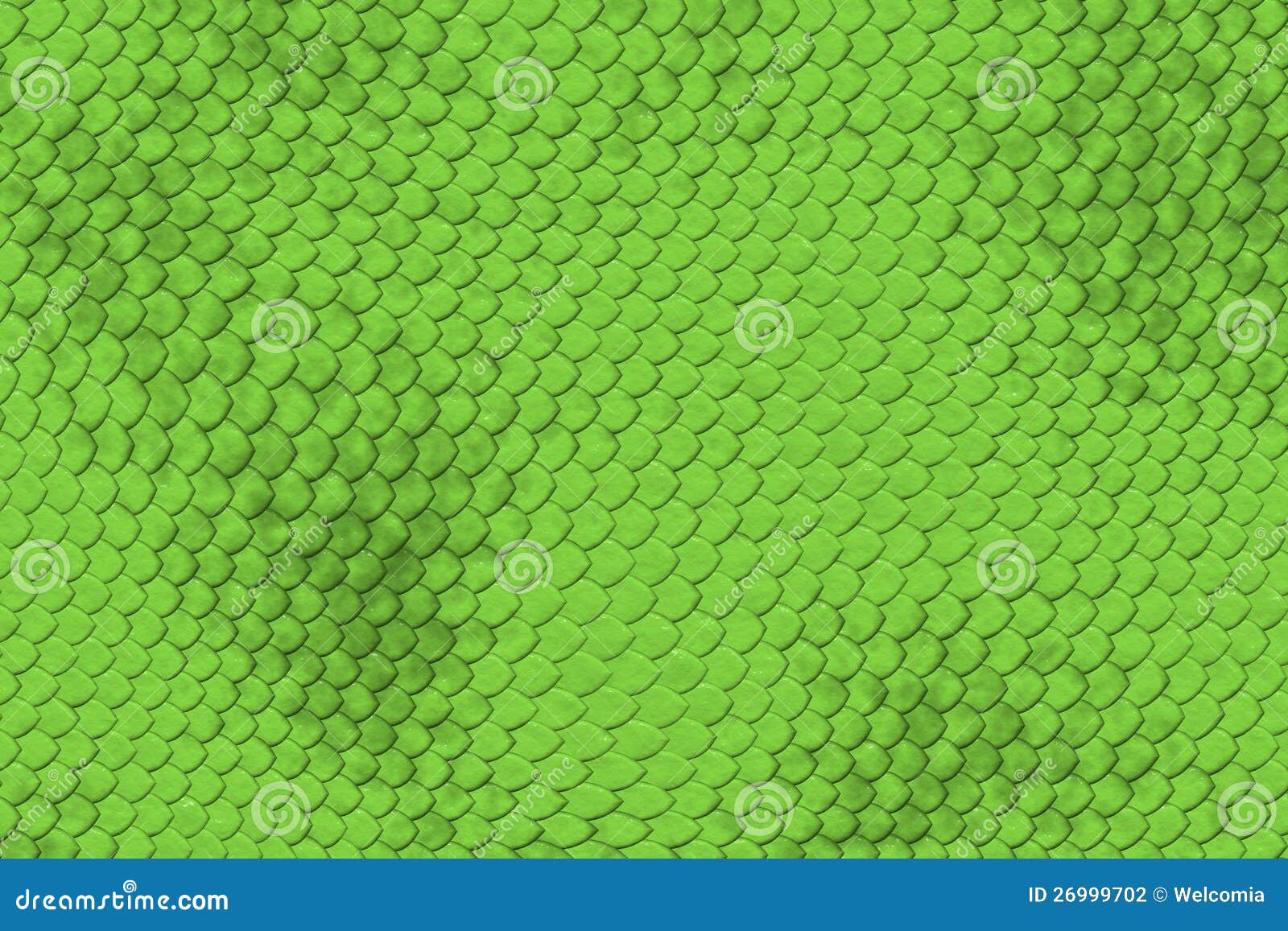 Lizard Skin Pattern stock photo. Image of wildlife, green - 26999702