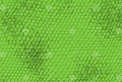 Lizard Skin Pattern stock photo. Image of wildlife, green - 26999702