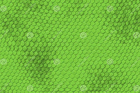 Lizard Skin Pattern stock photo. Image of wildlife, green - 26999702