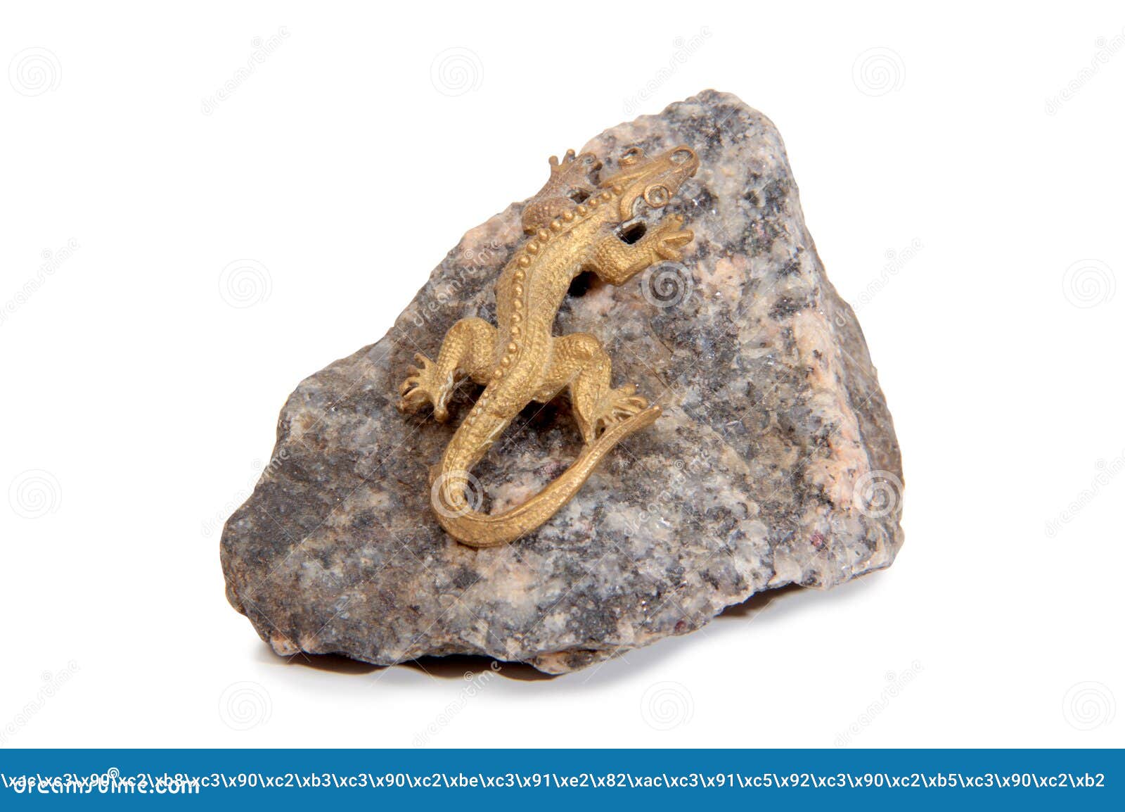 Lizard on stone stock image. Image of exotic, zoology - 123367981