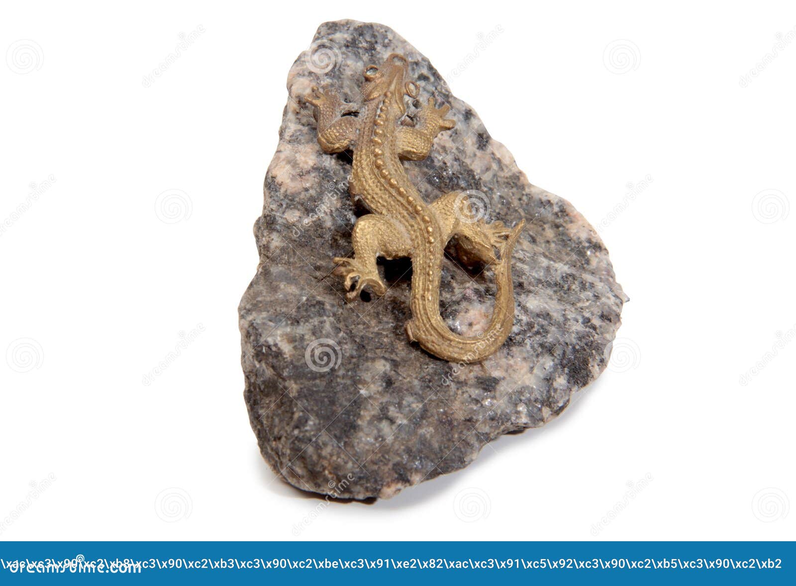 Lizard on stone stock photo. Image of nature, white - 123368114