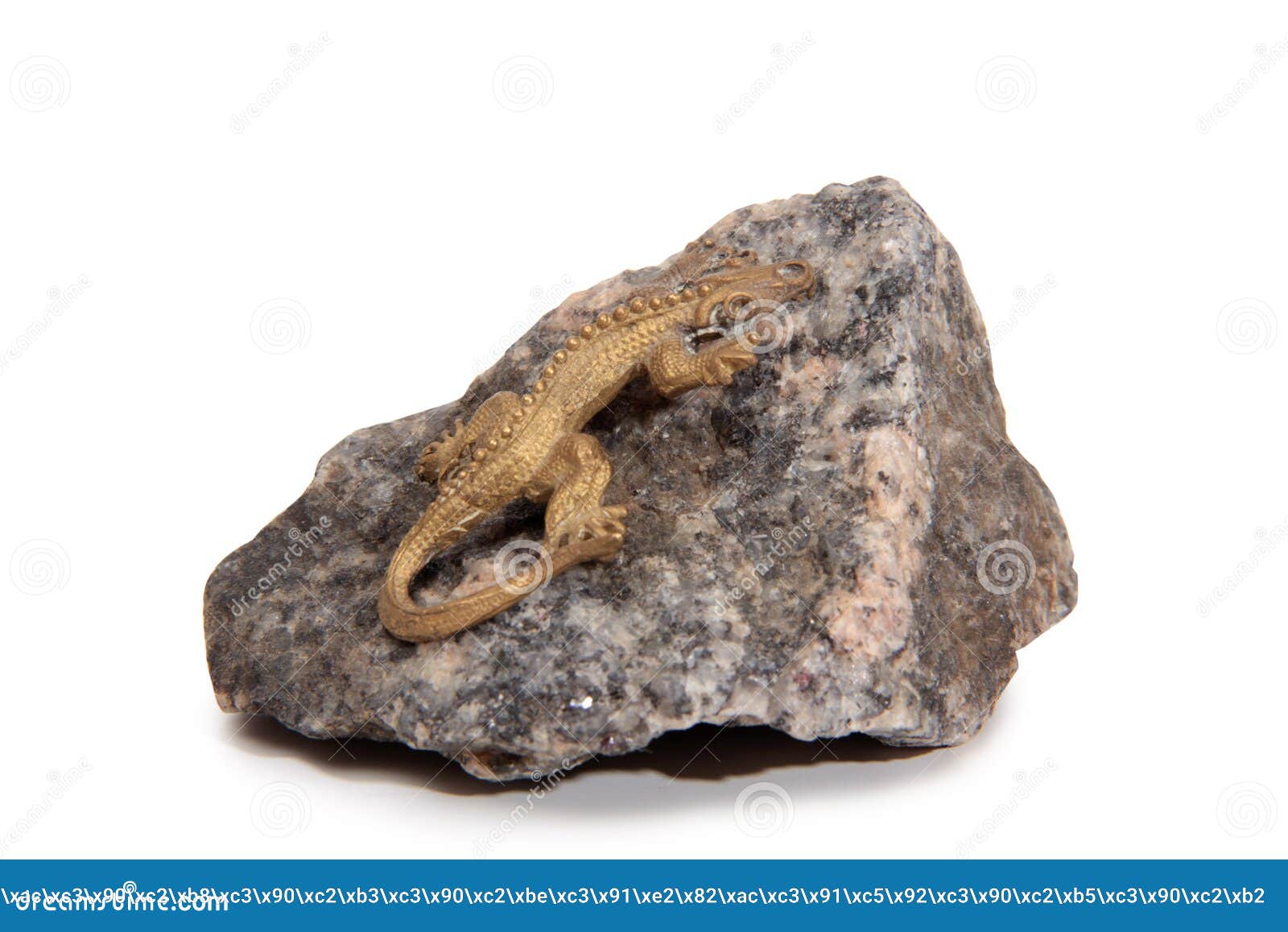 Lizard on stone stock photo. Image of exotic, tropical - 123368146