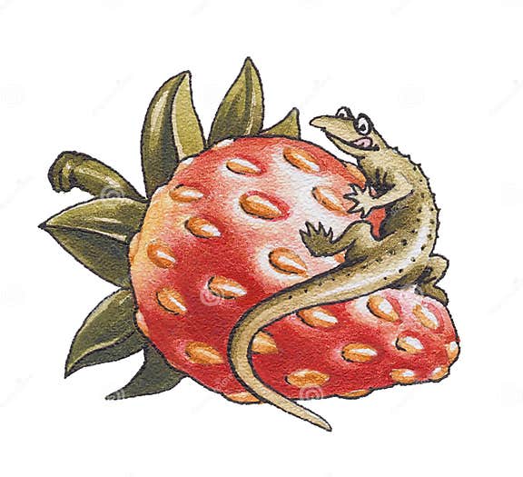 Lizard and strawberry stock illustration. Illustration of tongue - 11271539