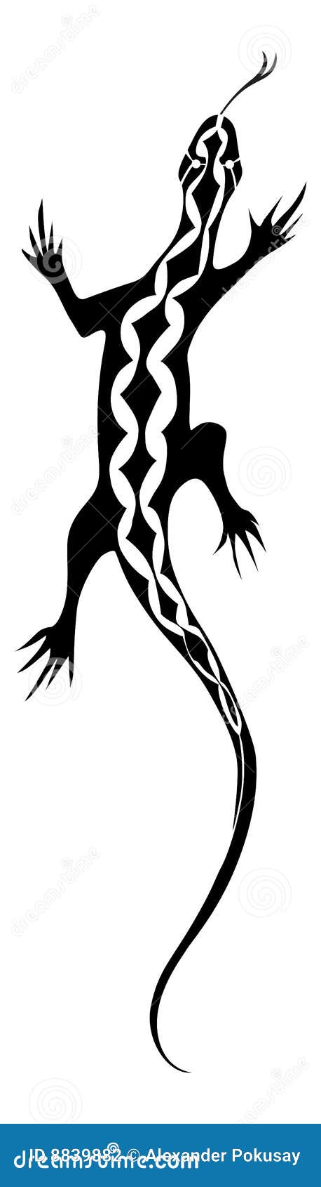 Lizard tattoo design stock vector. Illustration of ornamental - 8839882