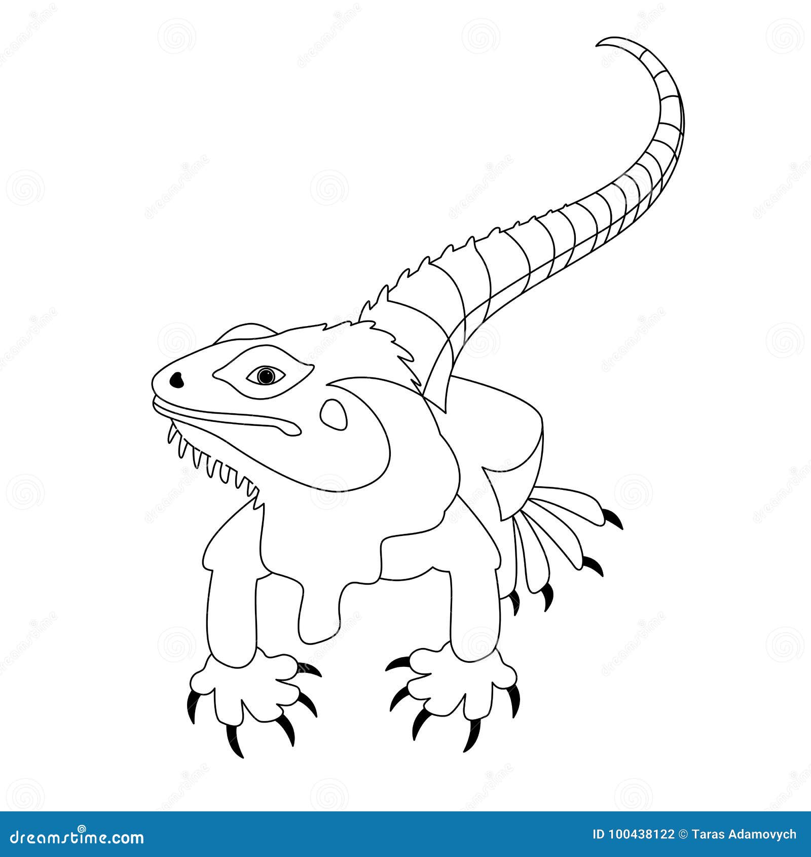 Lizard Vector Illustration Line Drawing Front Stock Vector ...