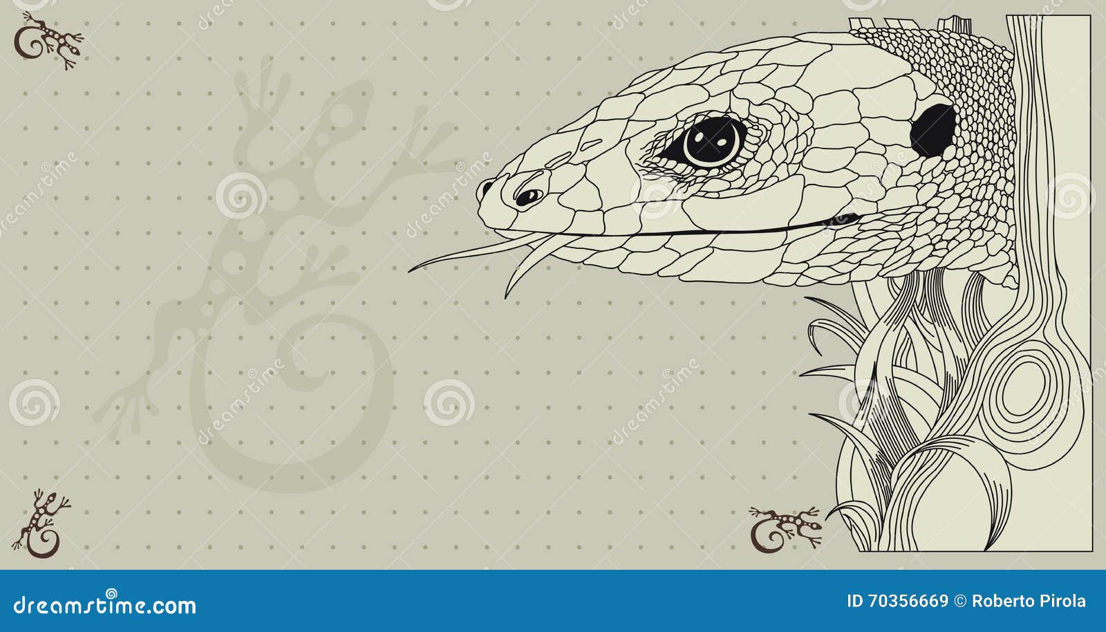 Lizard stock vector. Illustration of pattern, white, clip - 70356669