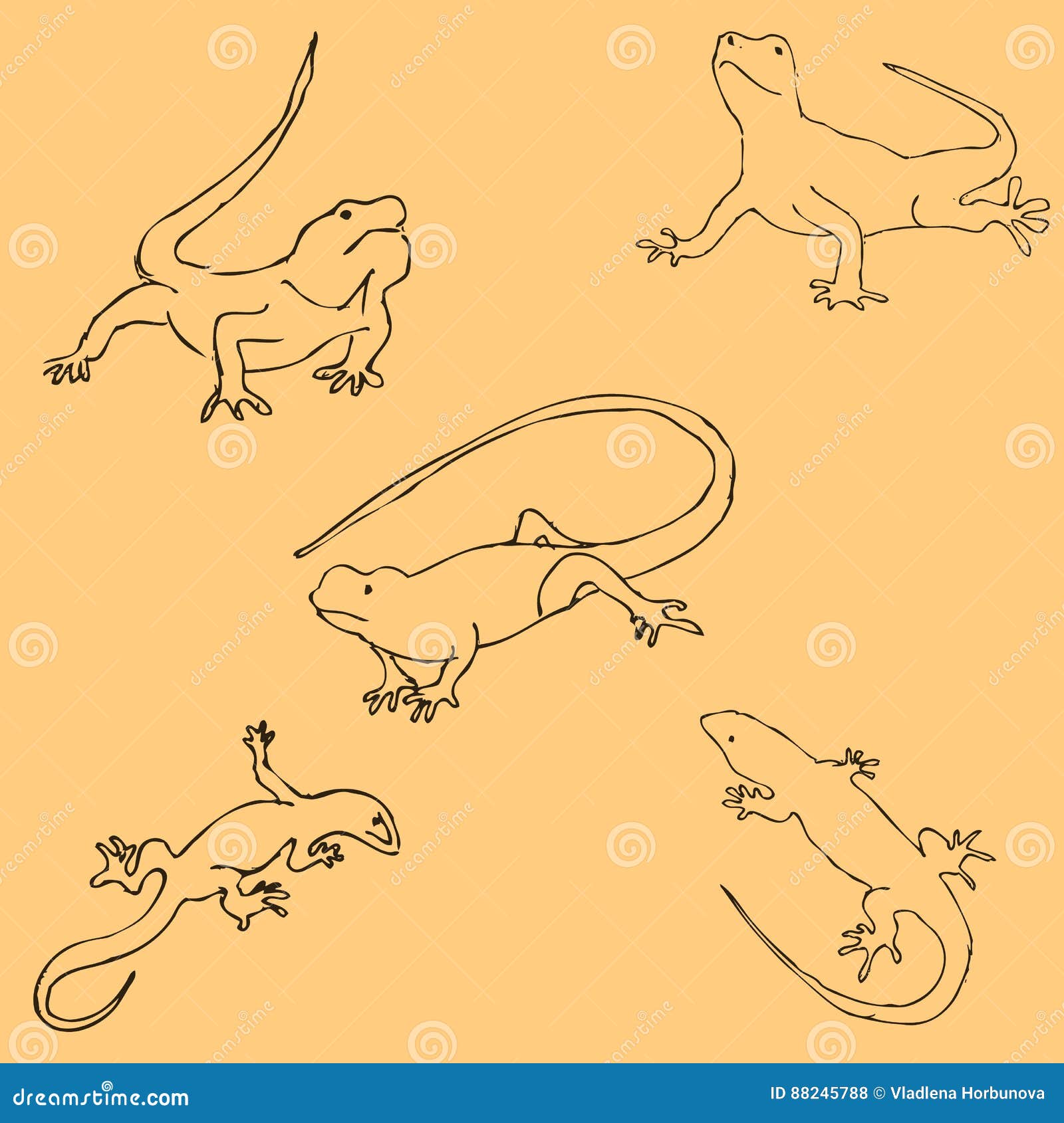 Lizards. Sketch By Hand. Pencil Drawing By Hand. Vector Image. The ...