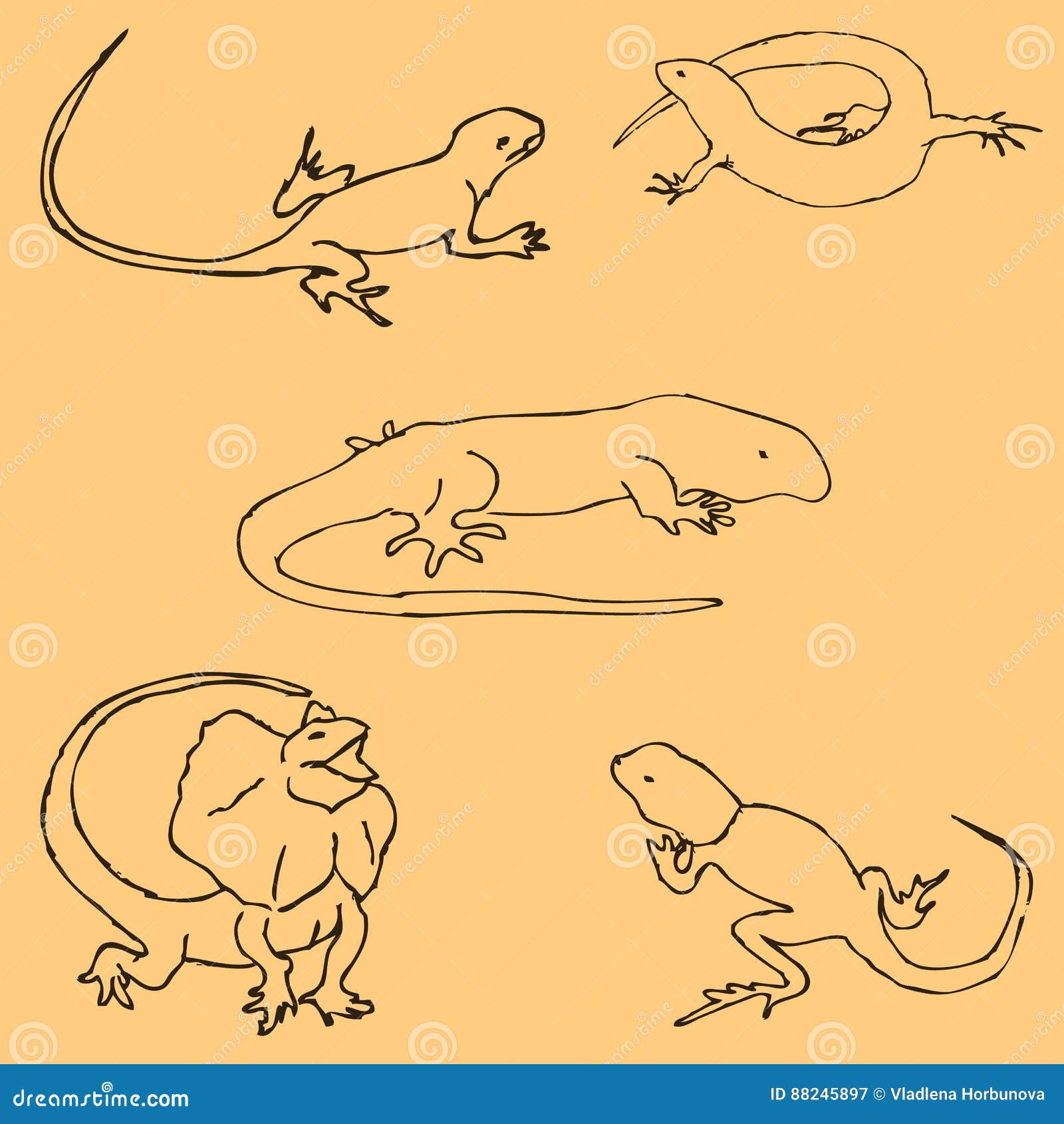 Lizards. Sketch by Hand. Pencil Drawing by Hand. Vector Image. the ...