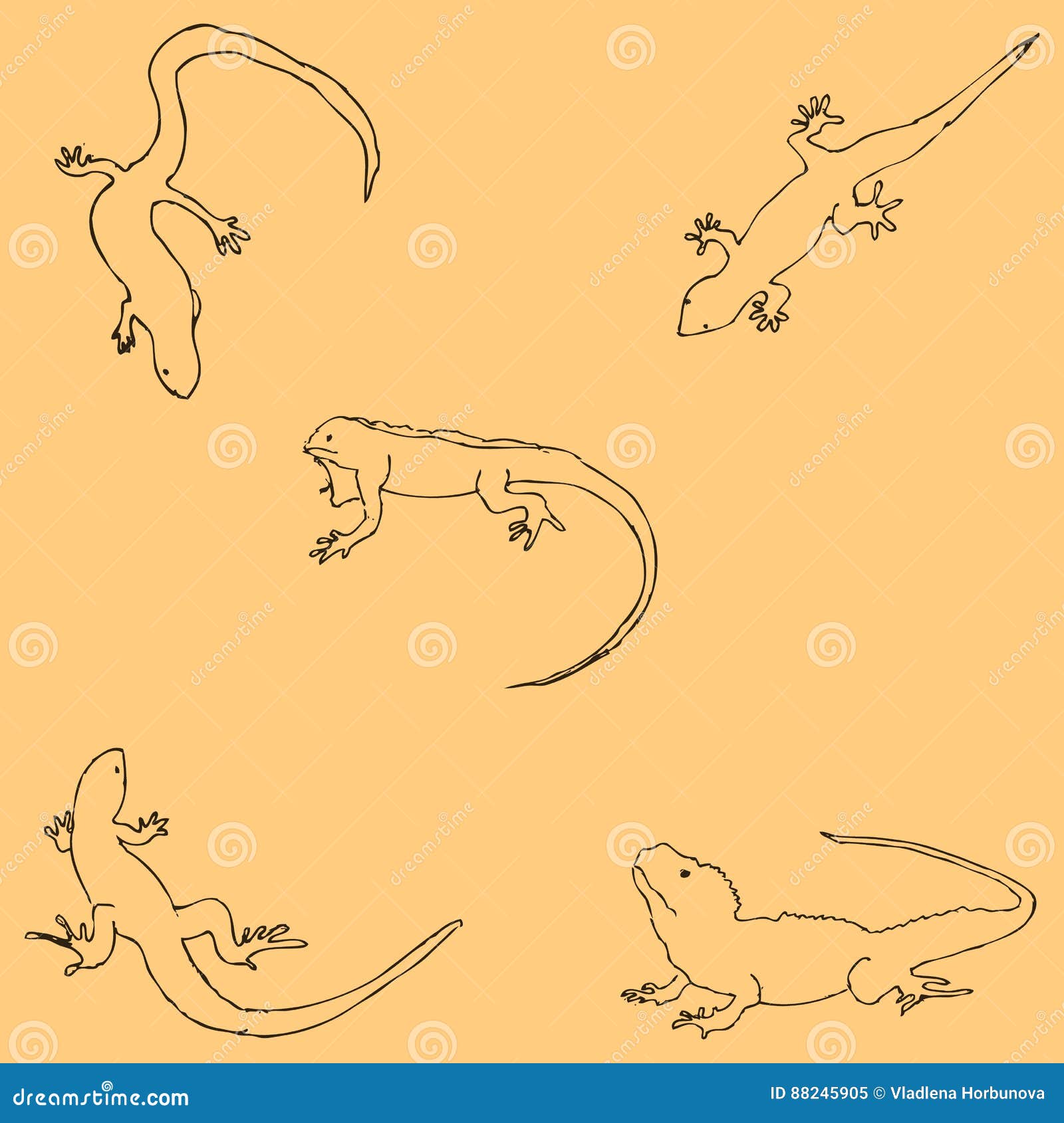 Lizards. Sketch By Hand. Pencil Drawing By Hand. Vector Image. The ...