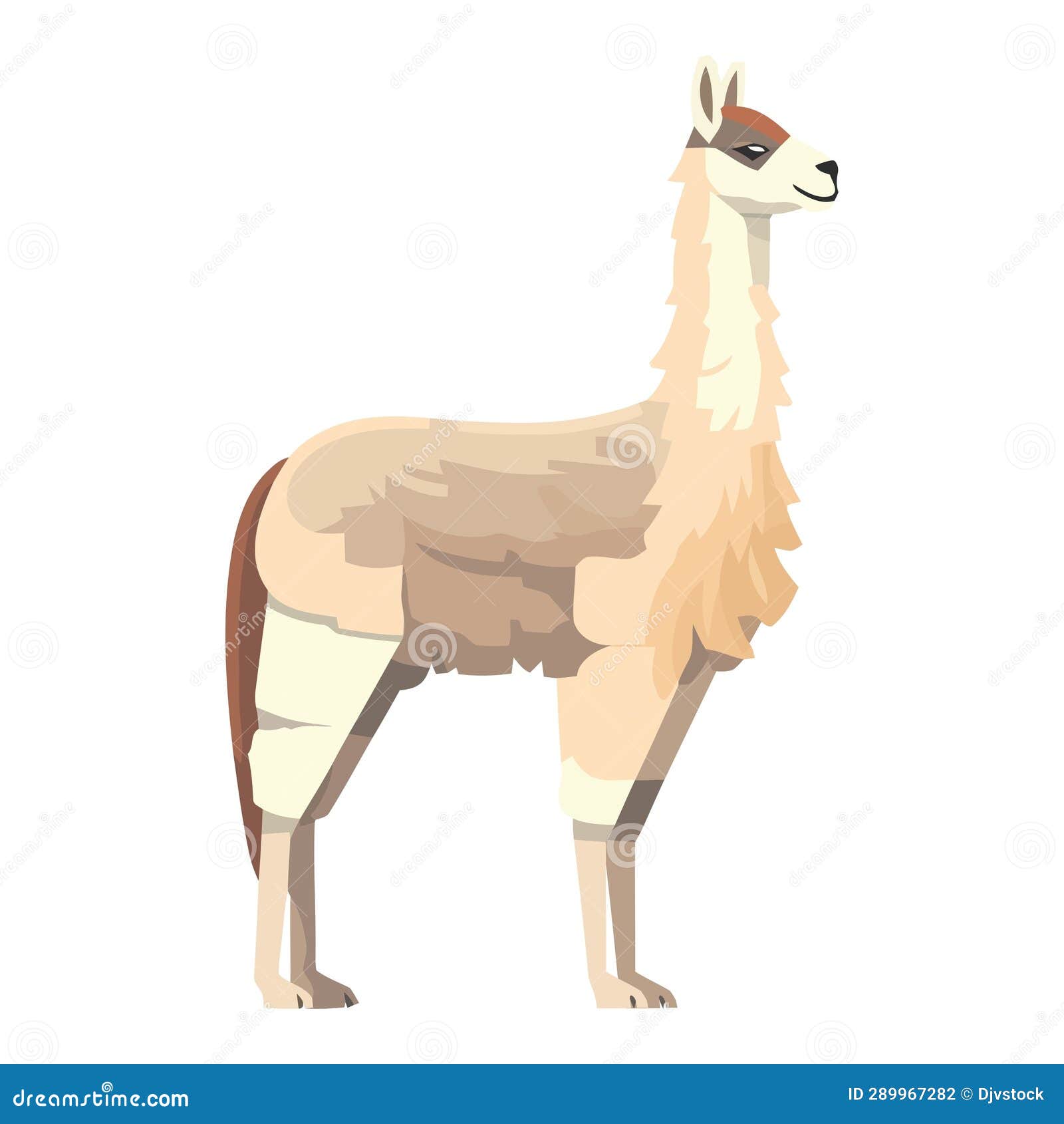 Llama animal vector icon stock illustration. Illustration of alpaca ...