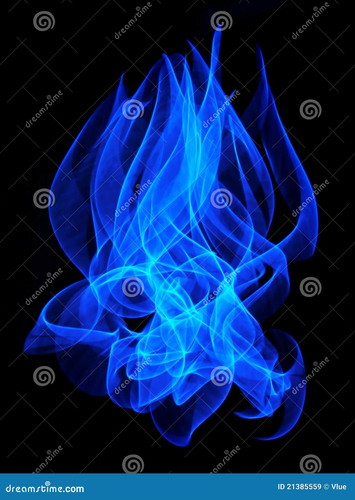 Llama azul imagen de archivo. Imagen de modelo, vivo - 21385559