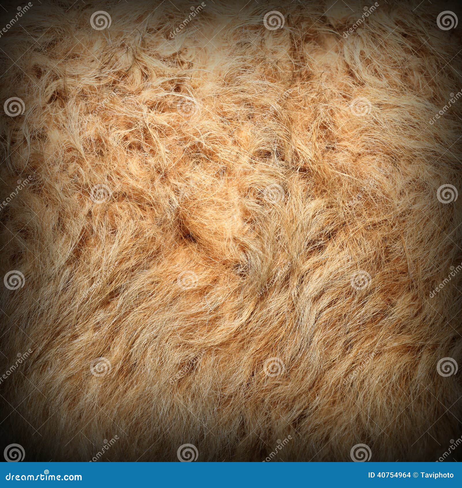 Llama detail of fur stock photo. Image of beige, earthtone - 40754964