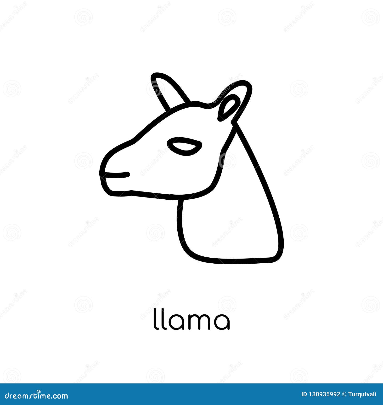 Llama Icon. Trendy Modern Flat Linear Vector Llama Icon on White Stock ...
