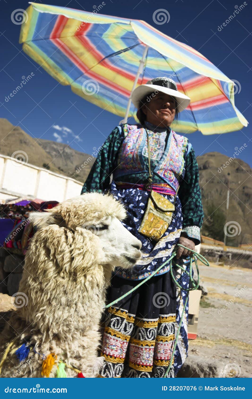 Llama Lady editorial photo. Image of market, america - 28207076