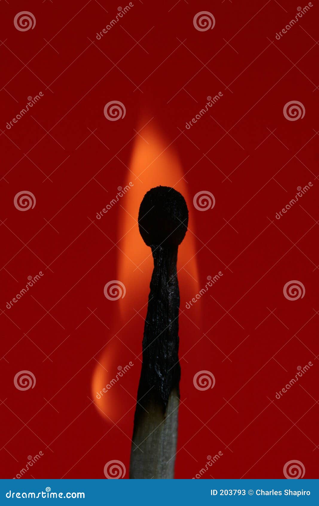 Llama que oscila imagen de archivo. Imagen de parpadeo - 203793