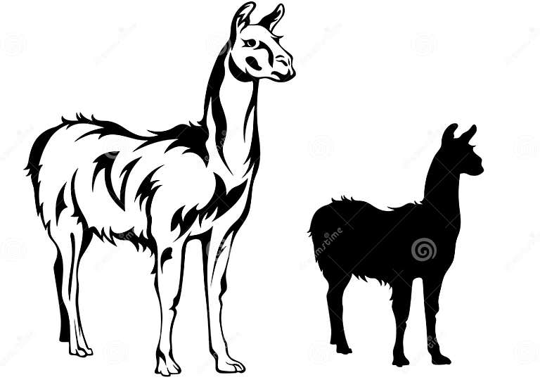 Llama vector stock vector. Illustration of south, wool - 19303233