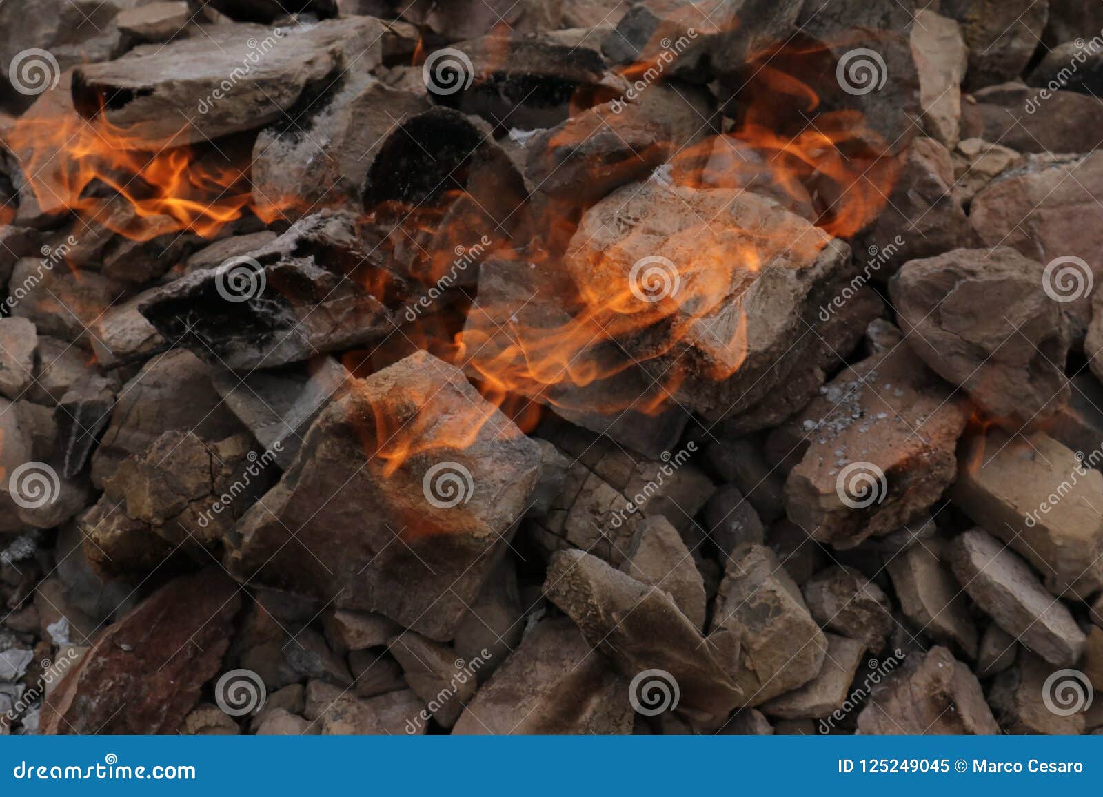 Llamas en rocas imagen de archivo. Imagen de llamas - 125249045