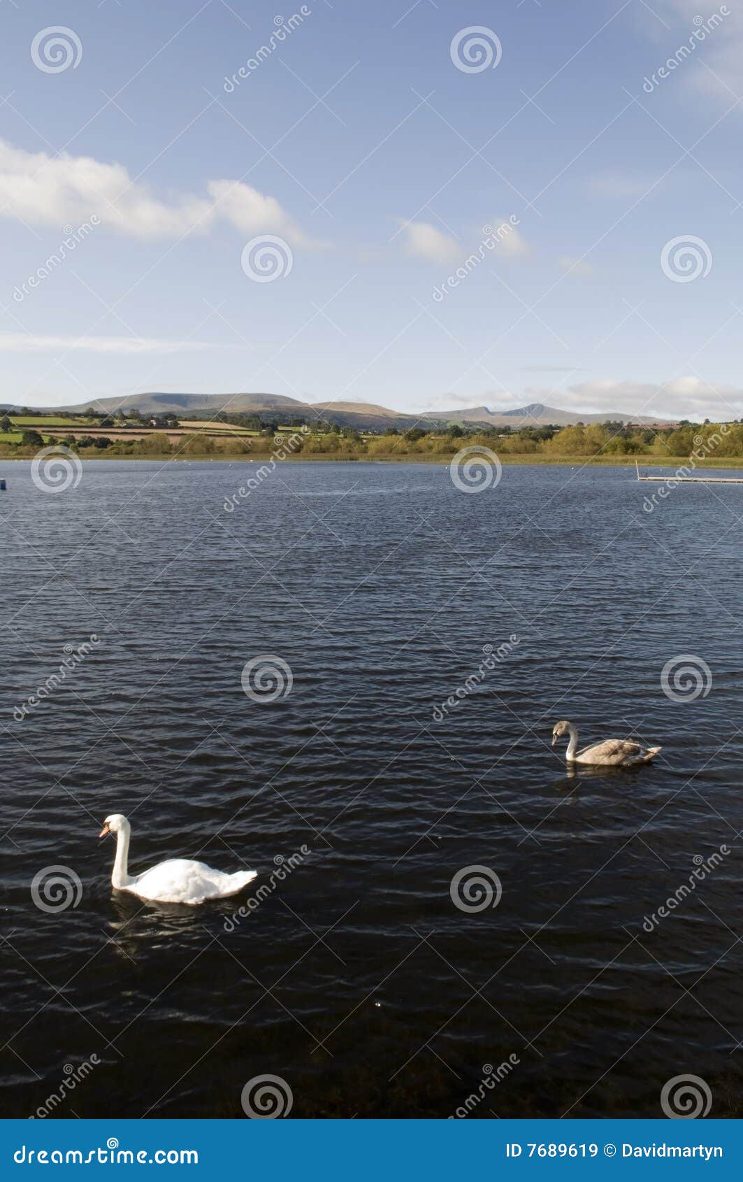 Llangorse lake stock image. Image of mountain, scenic - 7689619
