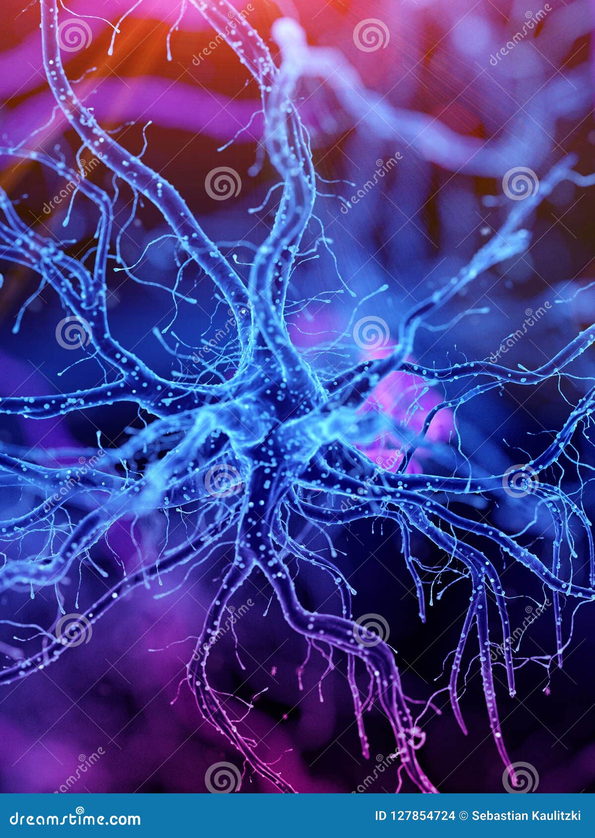 Lle cellule nervose umane illustrazione di stock. Illustrazione di ...