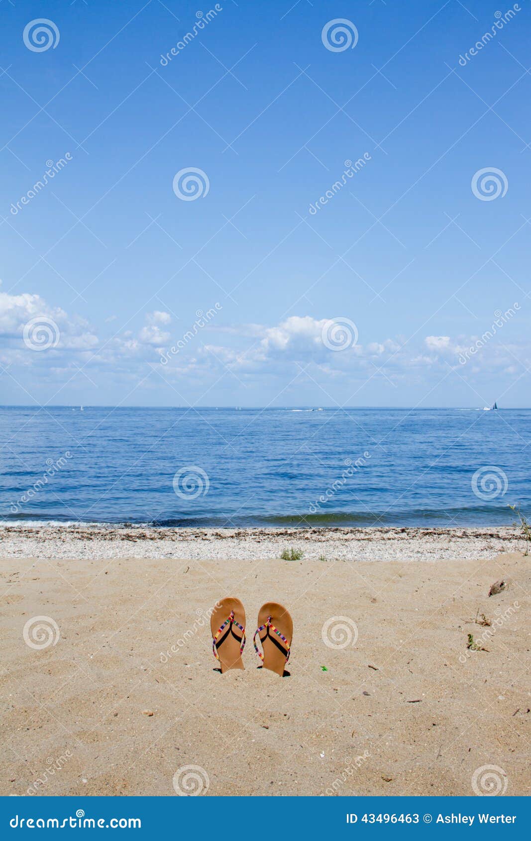 Lloyd Neck Beach stock image. Image of connecticut, long - 43496463