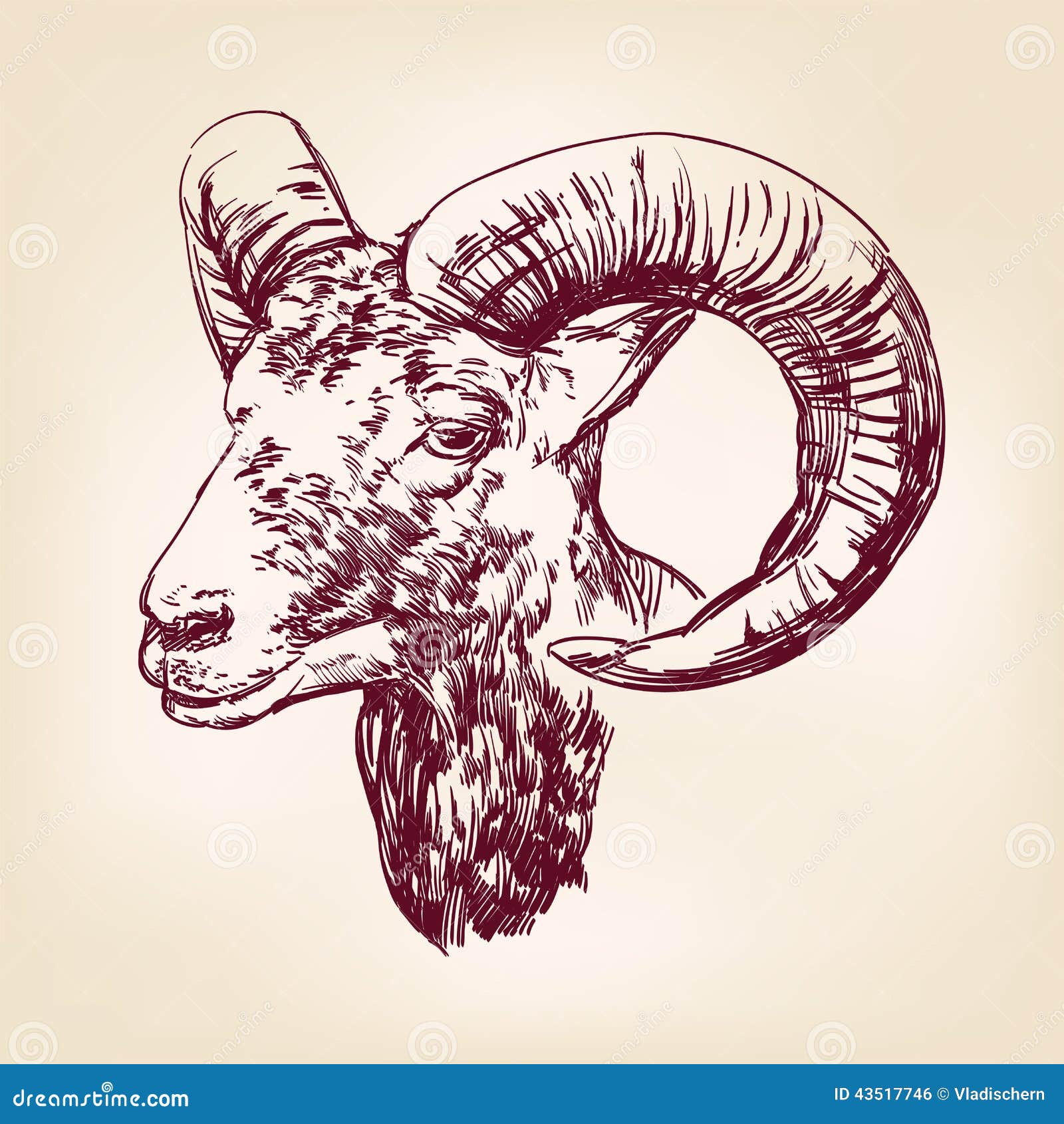 Llustration Disegnato a Mano Di Vettore Della Capra Illustrazione ...