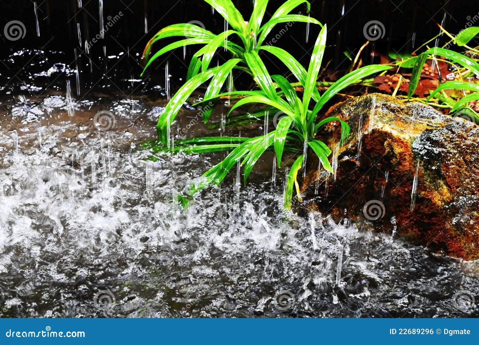 Lluvia de la monzón foto de archivo. Imagen de lluvias - 22689296