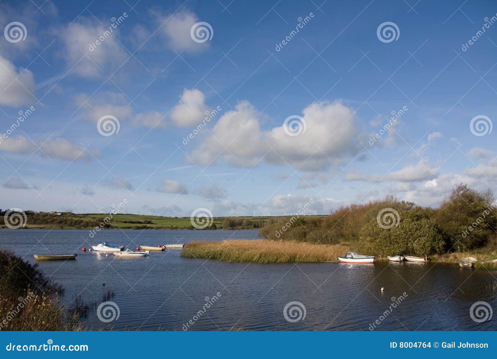 Llyn Alaw stock photo. Image of fresh, reservior, island - 8004764