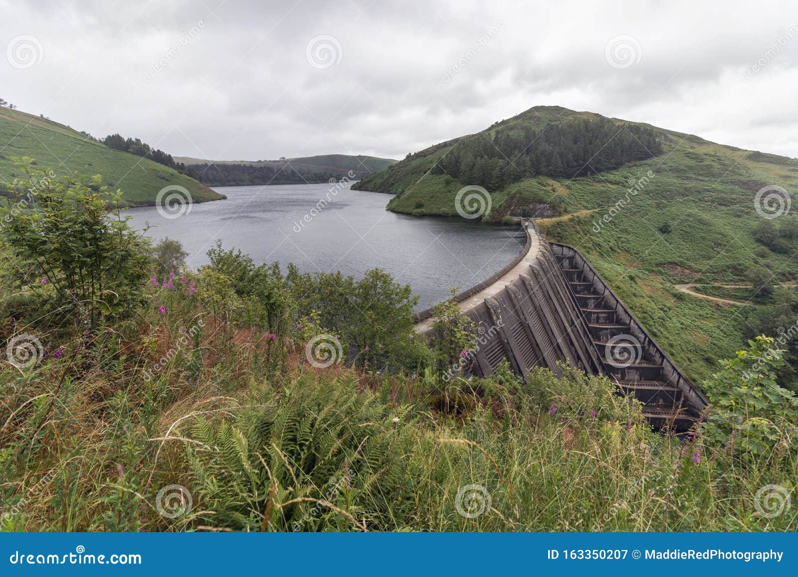 Llyn Clywedog Dam Near Llanidloes in Powys, Mid Wales Stock Image ...