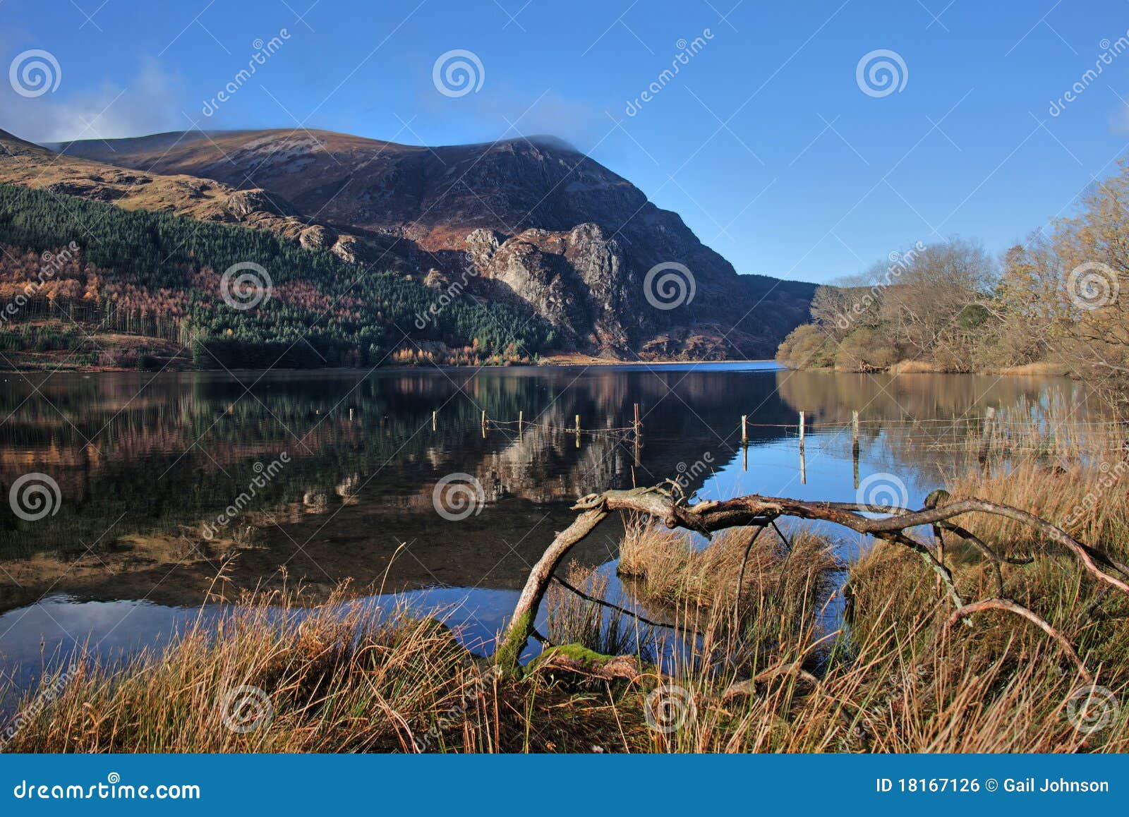 Llyn Cwellyn del A4085 foto de archivo. Imagen de rango - 18167126