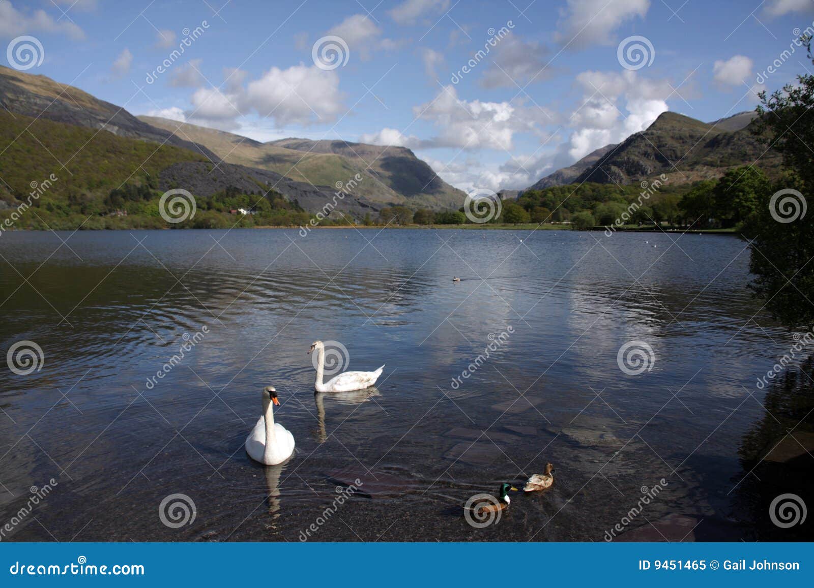Llyn Padarn stock image. Image of britain, mountain, park - 9451465